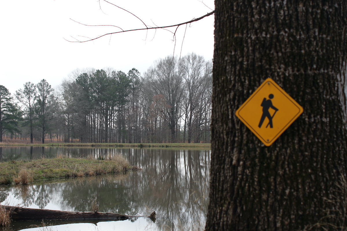 6 Incredible Experiences On Alabama’s Forever Wild Hiking Trails ...