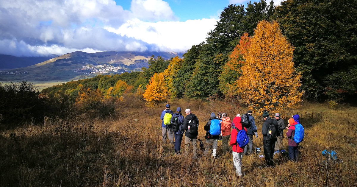 8 Reasons To Visit Italy This Fall | TravelAwaits