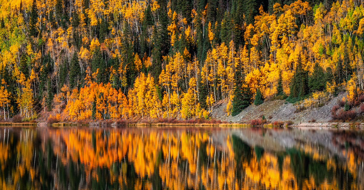 9 Beautiful Places To See The Fall Foliage In Colorado | TravelAwaits