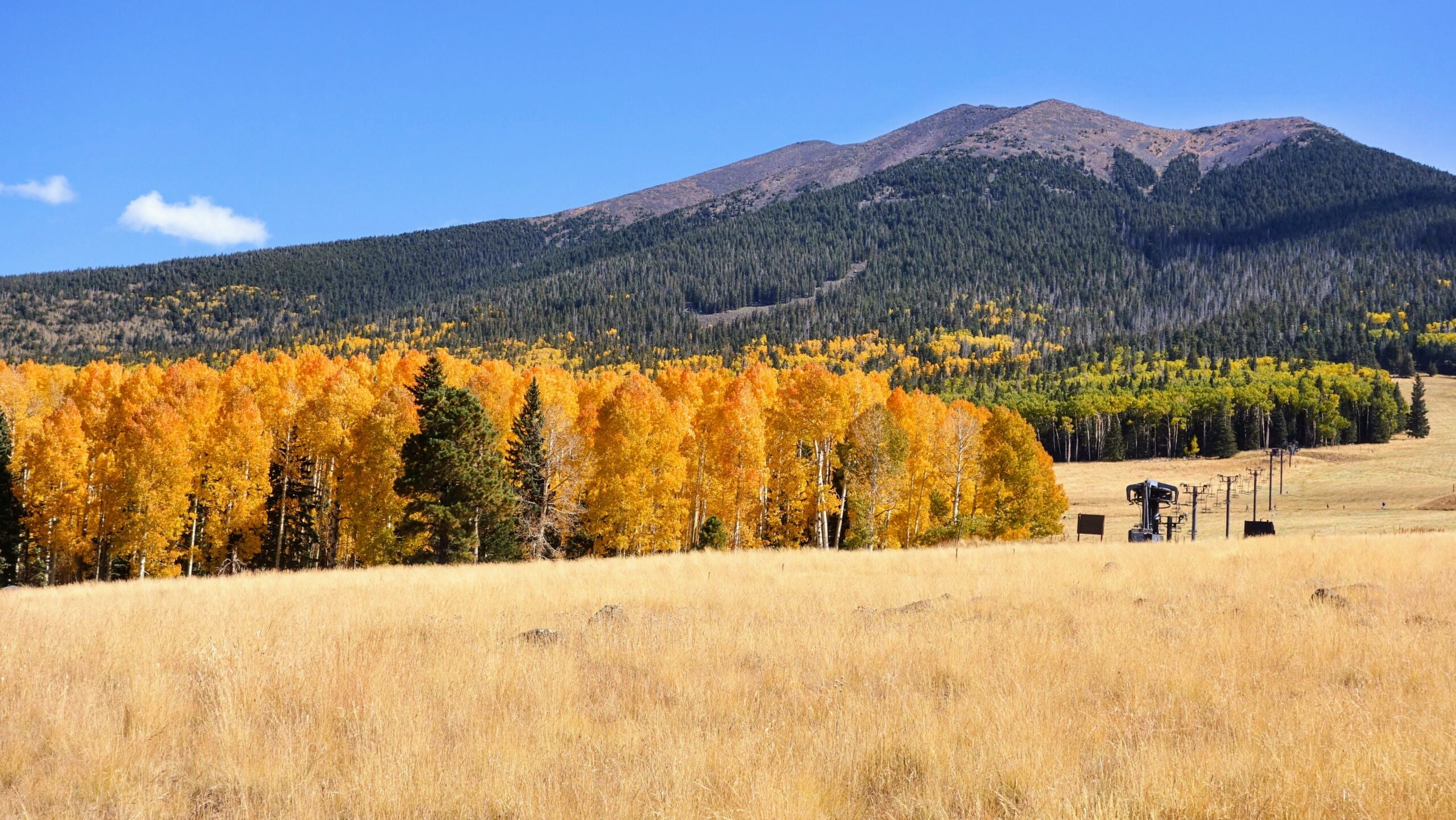 9 Fantastic Day Trips From Phoenix Perfect For Fall | TravelAwaits