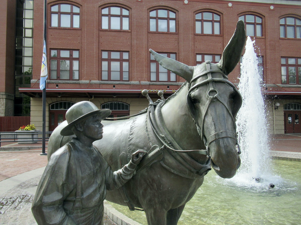 3 Beautiful Bike Rides Along The Historic C&O Canal Towpath | TravelAwaits