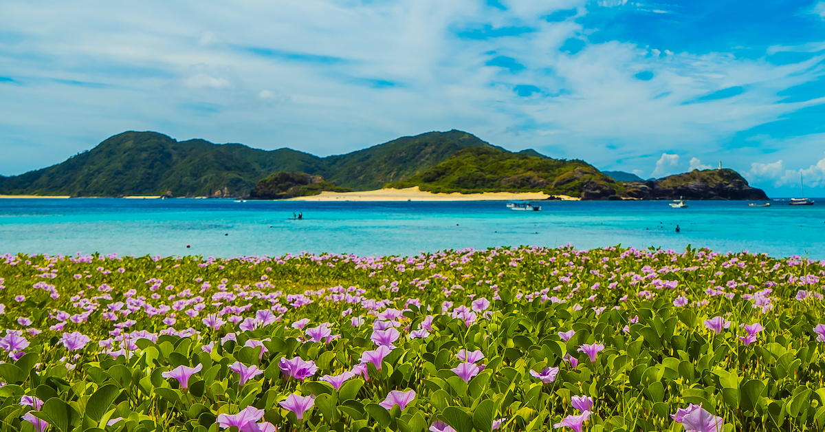 8 Reasons You'll Love Exploring Japan’s Remote Zamami Island | TravelAwaits