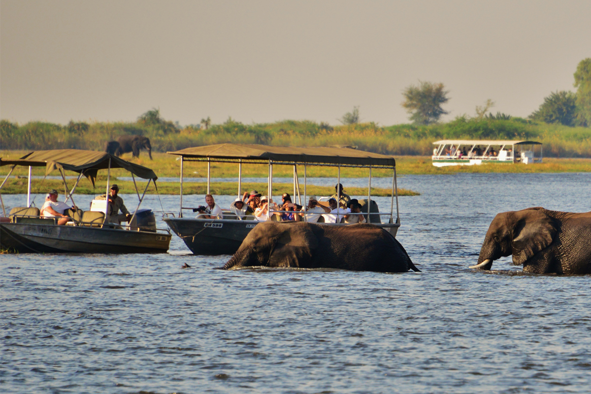 10 Amazing Small Group Travel Tours To Experience In 2023 | TravelAwaits