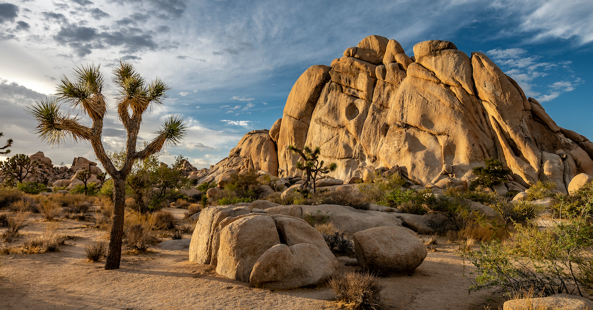 Chuckwalla Bench Could Be The Next U.S. National Monument — How You Can ...