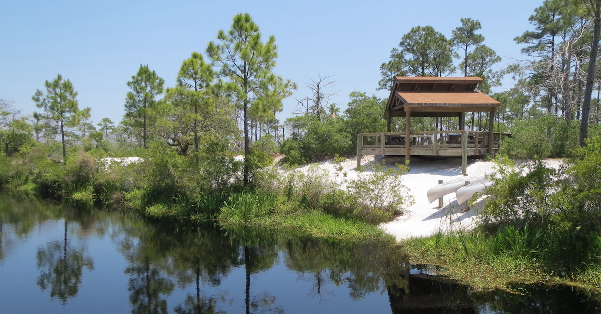 6 Beautiful Hikes On The Florida Panhandle For Every Hiker And Nature ...