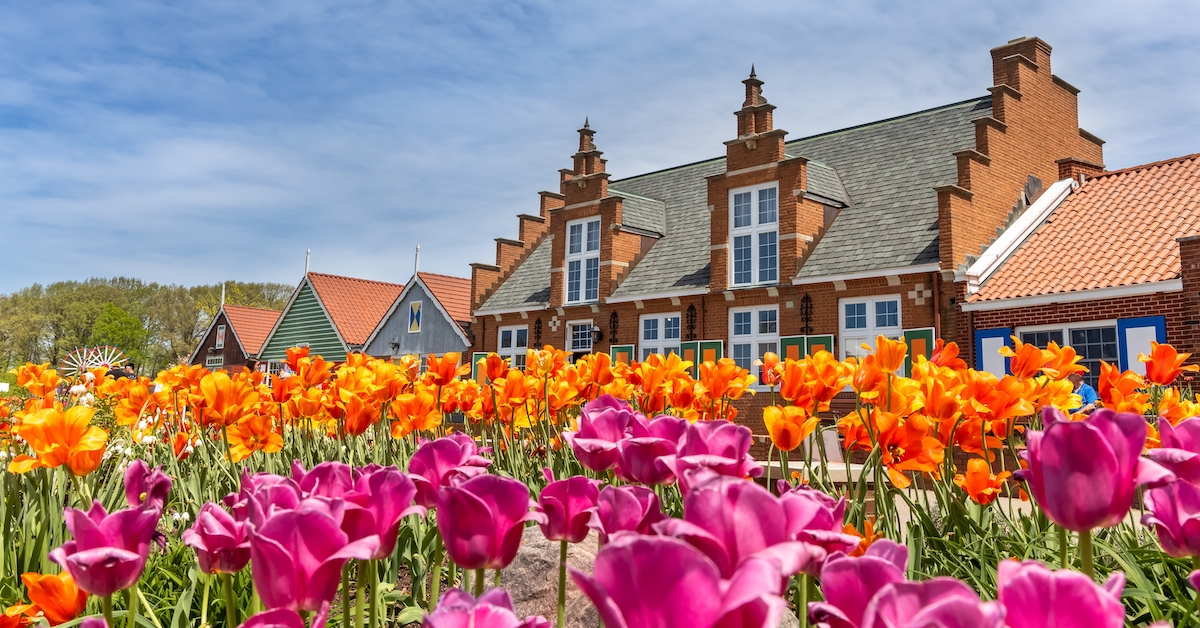 7 Fantastic Experiences At Holland's Beautiful Tulip Festival ...