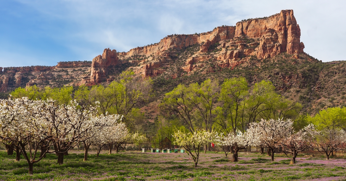 10 Best Things To Do In Colorado | TravelAwaits