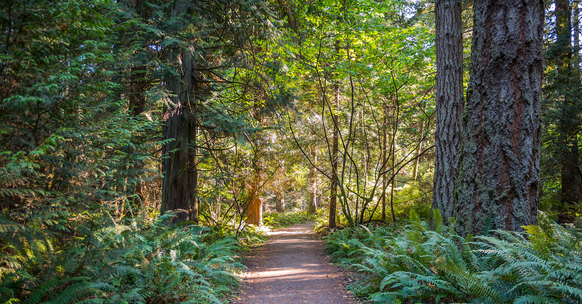 9 Best Things To Do In Kirkland, Washington | TravelAwaits