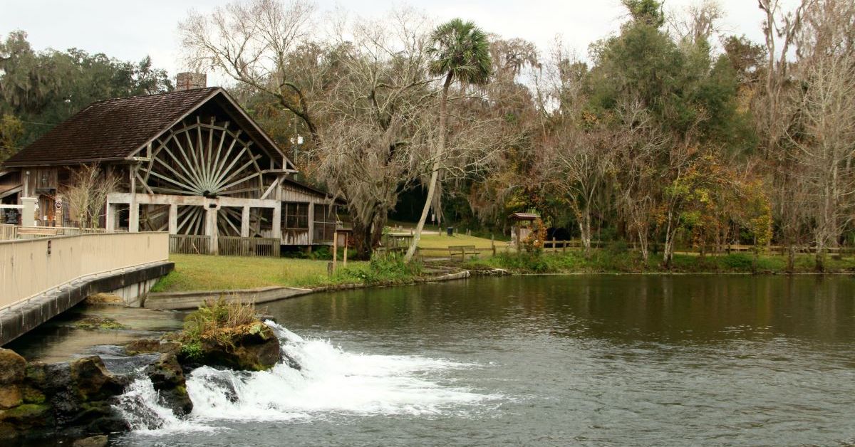 9 Best Freshwater Springs In Florida | TravelAwaits
