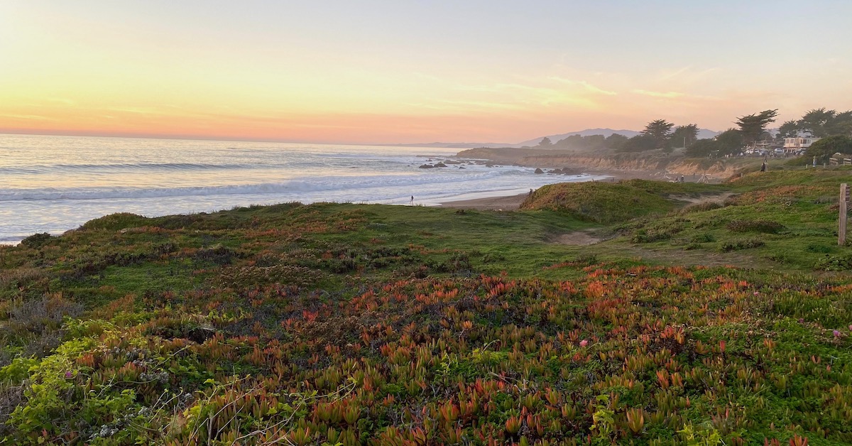 11 Best Beaches In California | TravelAwaits