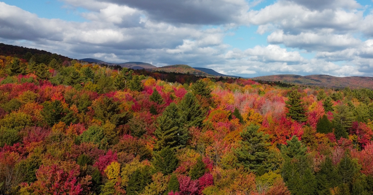 6 Best Fall Trips To Take In The U.S. | TravelAwaits