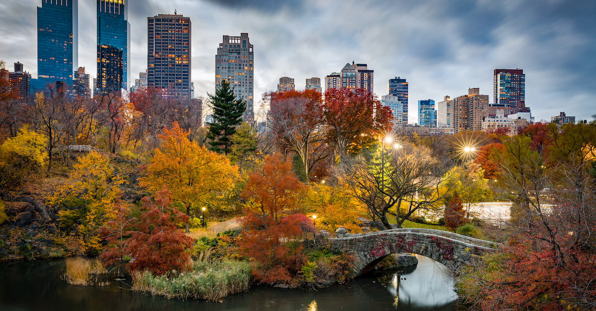 Exploring Urban Fall Vibes In New York City | TravelAwaits