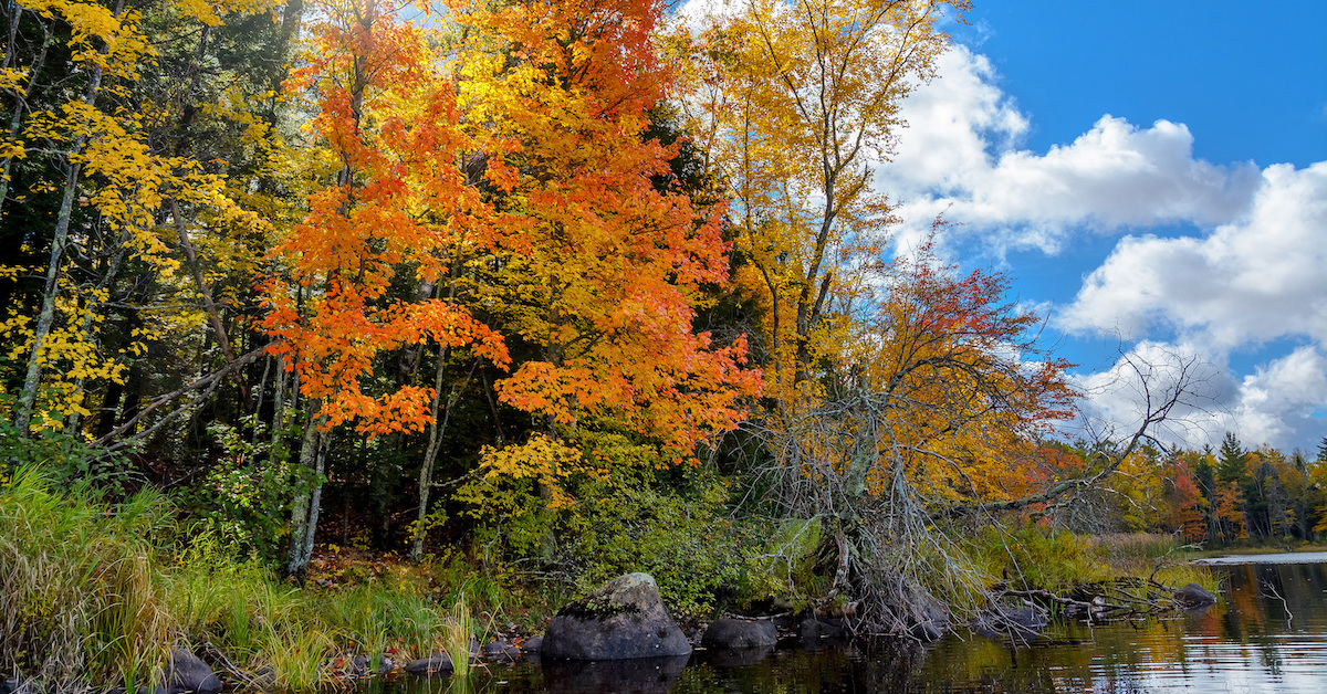 The Most Scenic Wisconsin Fall Foliage Road Trip | TravelAwaits