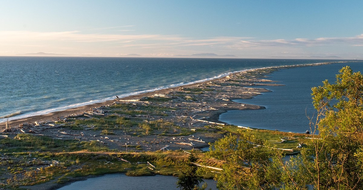 4 Reasons To Visit Washington’s Dungeness National Wildlife Refuge ...
